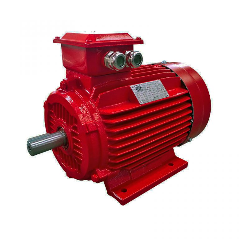 Explosion Proof Motor - CMP (Century Motors Producer)